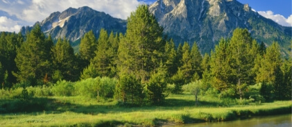 GHG Verification & Carbon Management - ADEC Innovations