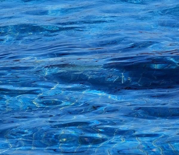 Leadership & Sustainability - ADEC Innovations